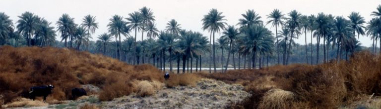 SÉPOA – Société pour l’étude du Proche-Orient ancien